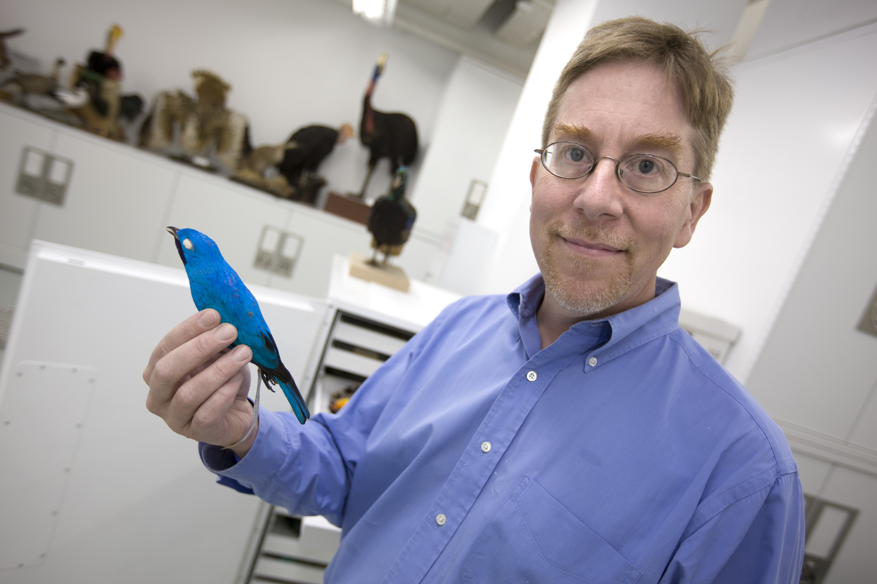 Richard Prum - MacArthur Foundation